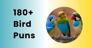 180+ Funny Bird Puns You’ll Go Nuts Over - Fly & Laugh! 2025