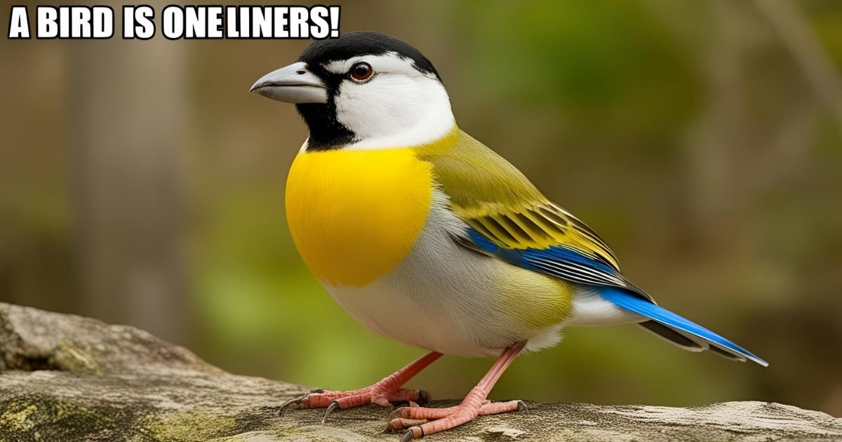 180+ Funny Bird Puns You’ll Go Nuts Over - Fly & Laugh! 2025